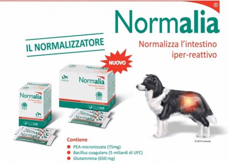 NormaliaⓇ: contro le alterazioni del tratto intestinale di cane e gatto